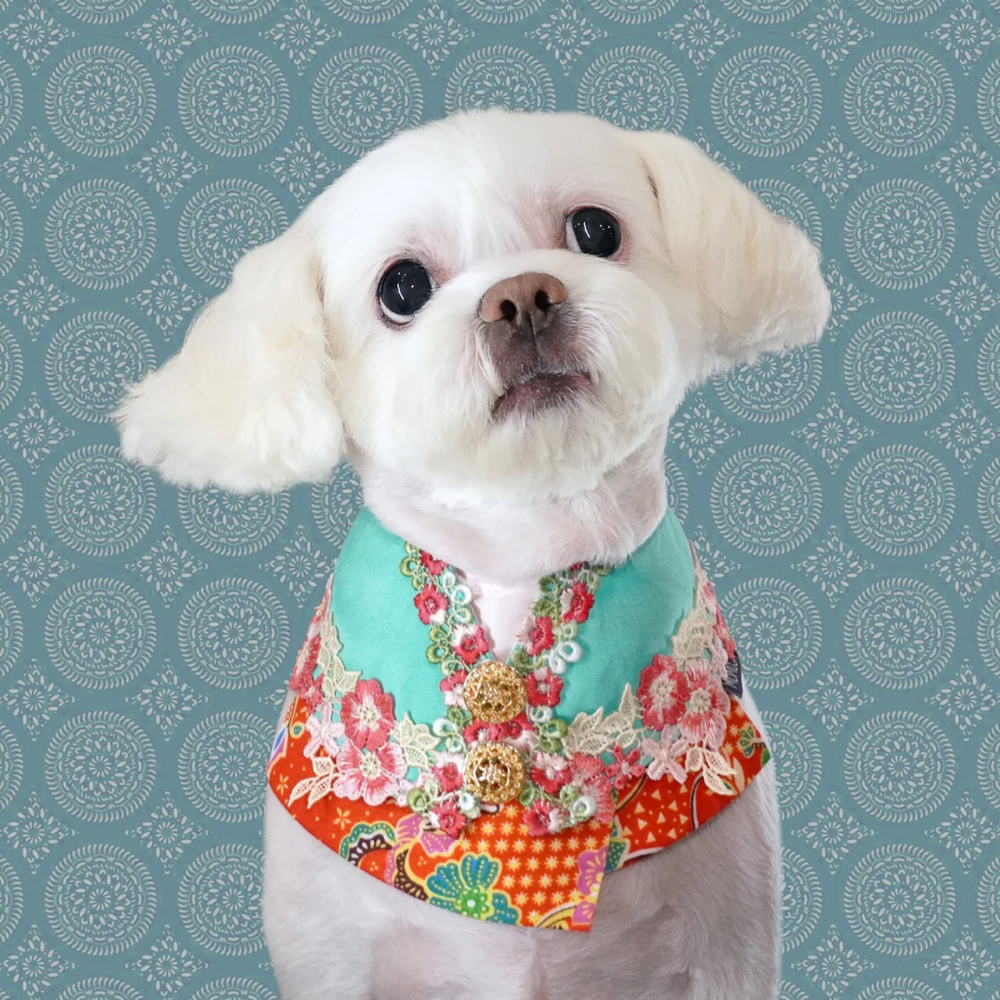 MOMOJI SINGAPORE – Momoji SG